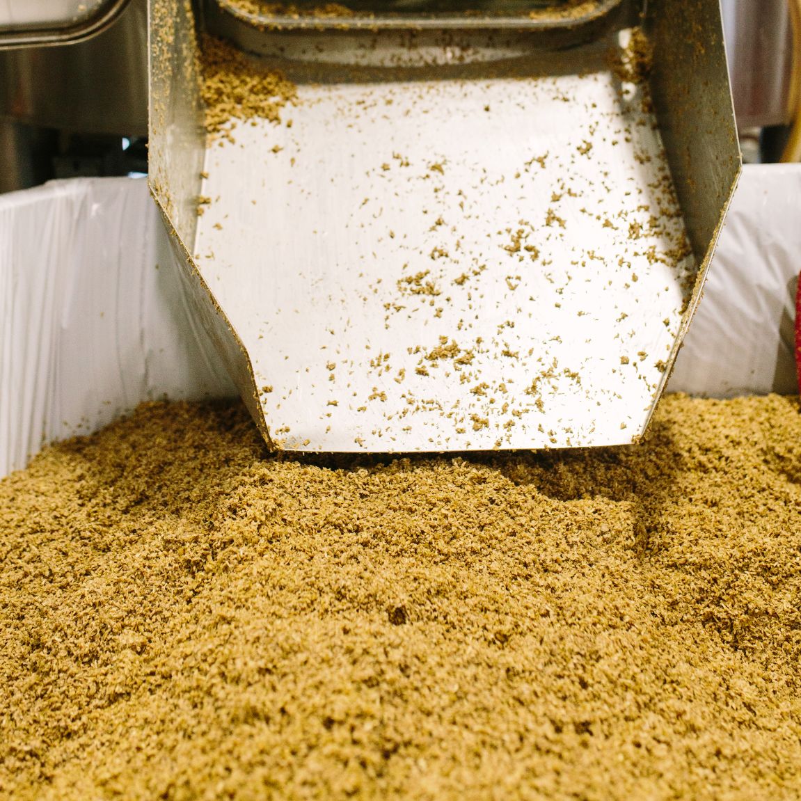 How to safely prepare spent grains for upcycling — The Spent Goods Company